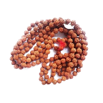 Rudraksha Beads Wholesale Store : All types of Mala Beads wholesale and ...